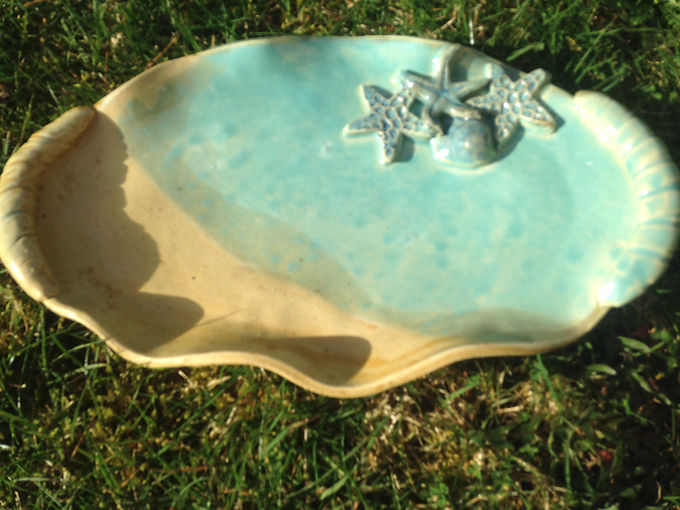 Home | Rainforest Designs